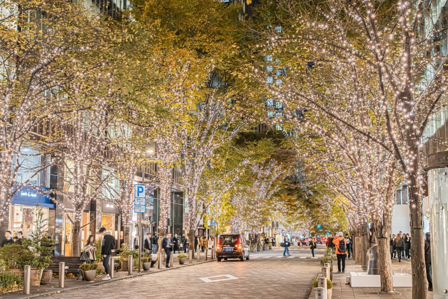【Tokyo December Event Guide 2025】From Christmas to New Year's! 5 Must ...